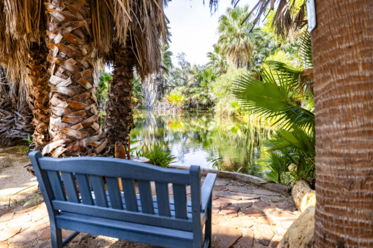 Tucson Hot Springs – A Secluded Retreat with Stunning Views